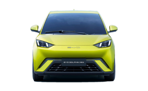 BYD Dolphin Mini PCD 2024: conheça o primeiro elétrico para PCD - Isencar
